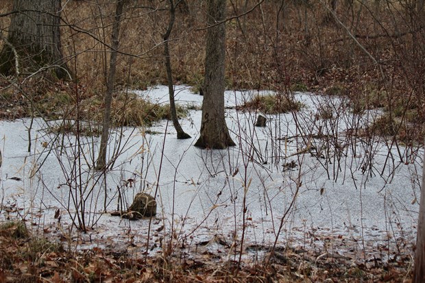 Happening in Education - Education Programs | Lake County Forest Preserves