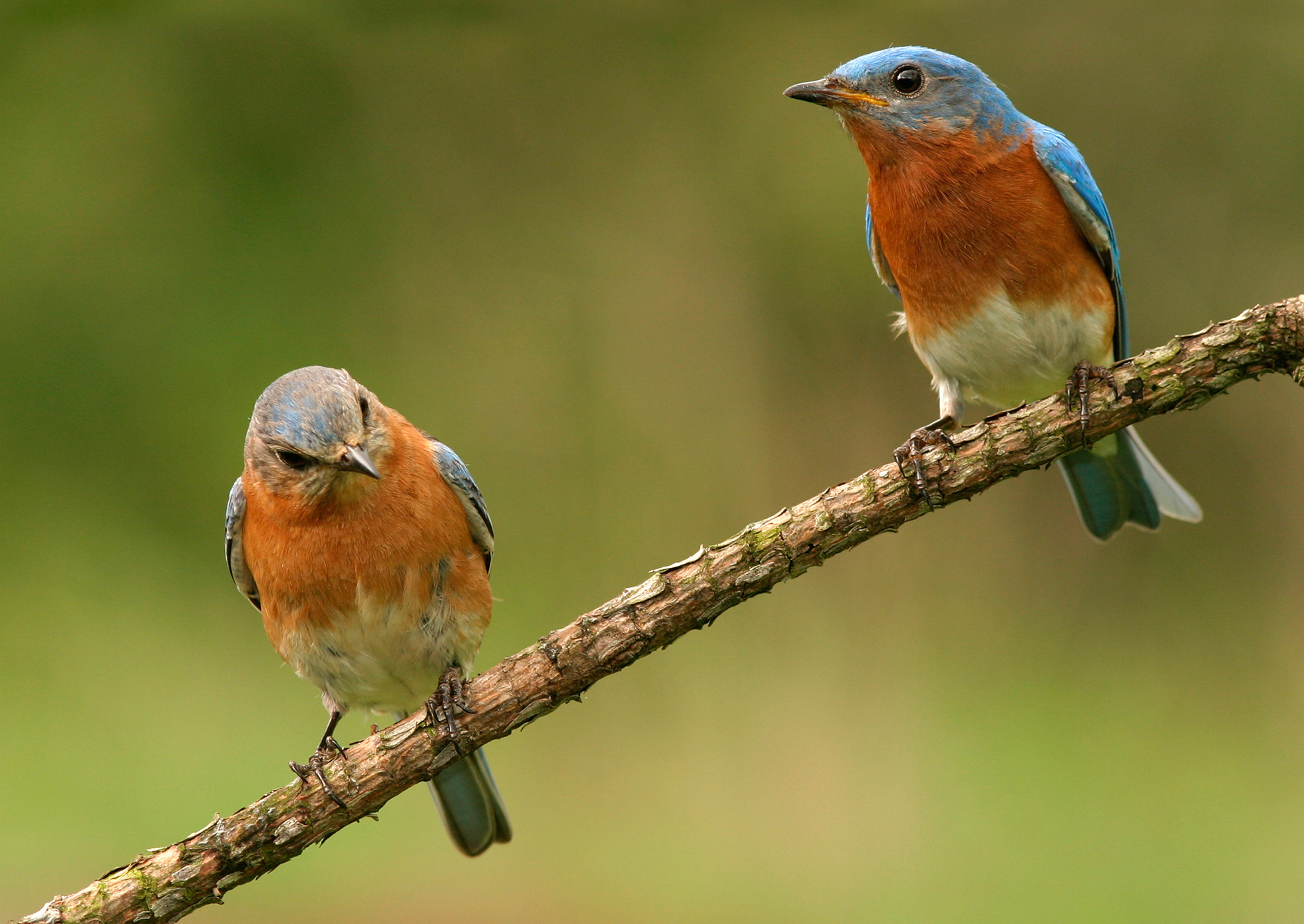 Preservation Foundation - Who We Are | Lake County Forest Preserves