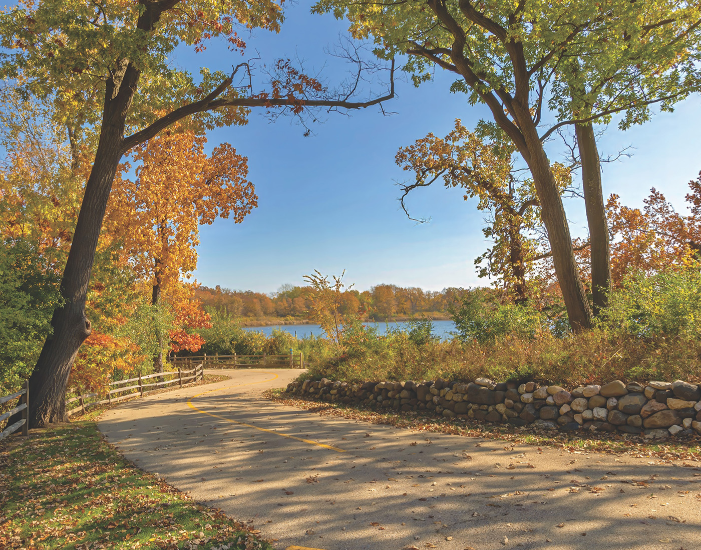 Referendum | Lake County Forest Preserves