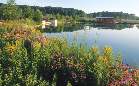 Independence Grove - Your Preserves | Lake County Forest Preserves