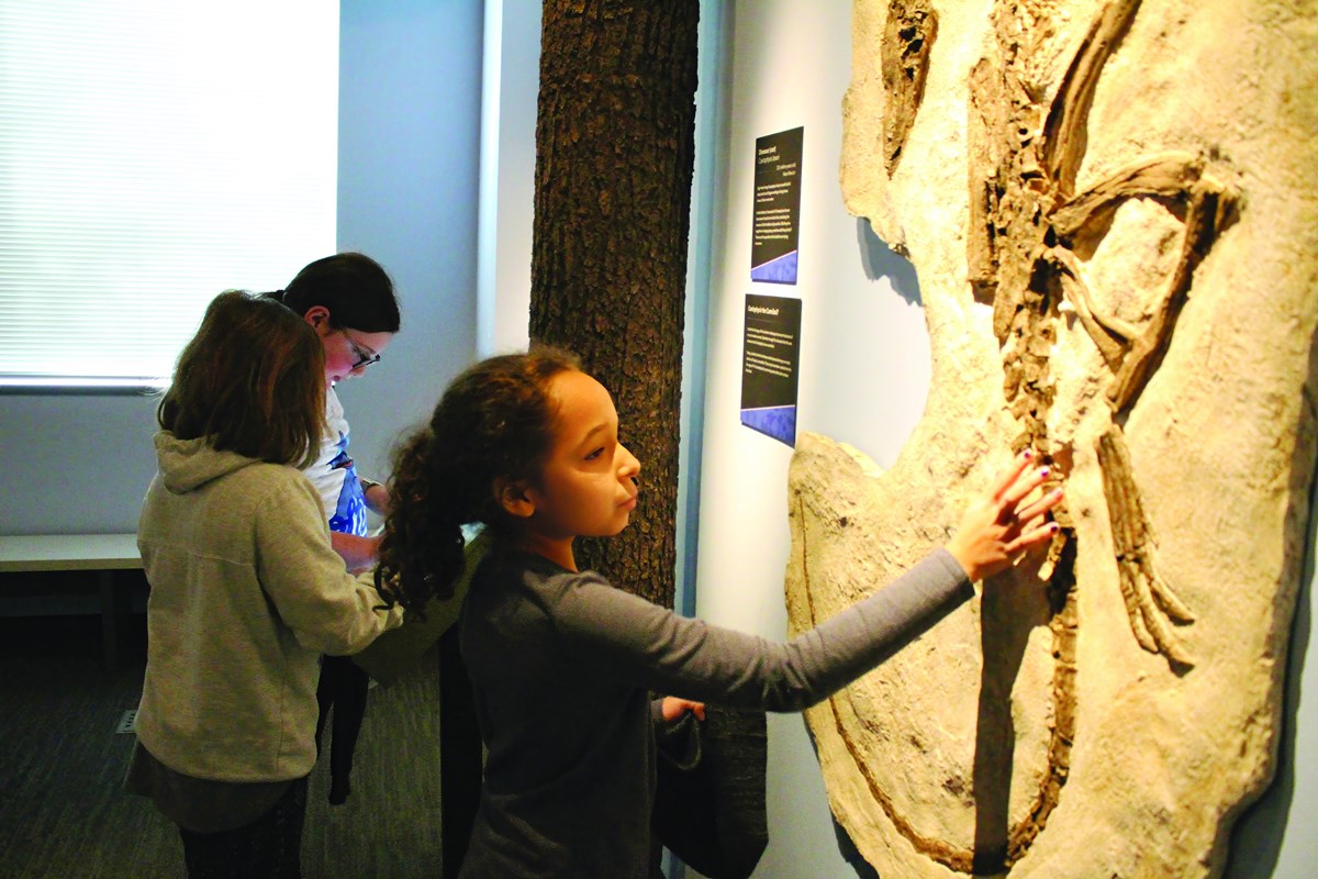 School Programs: The Ice Age - School Programs | Lake County Forest ...