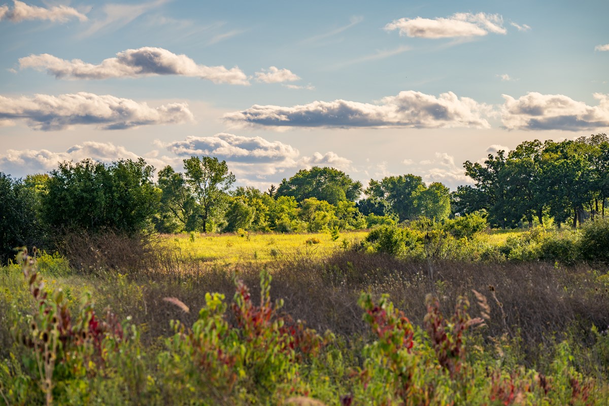 Exploring the Forest Preserves’ Newest Additions | Lake County Forest ...