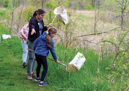 School Programs: Insects and Spiders - School Programs | Lake County ...